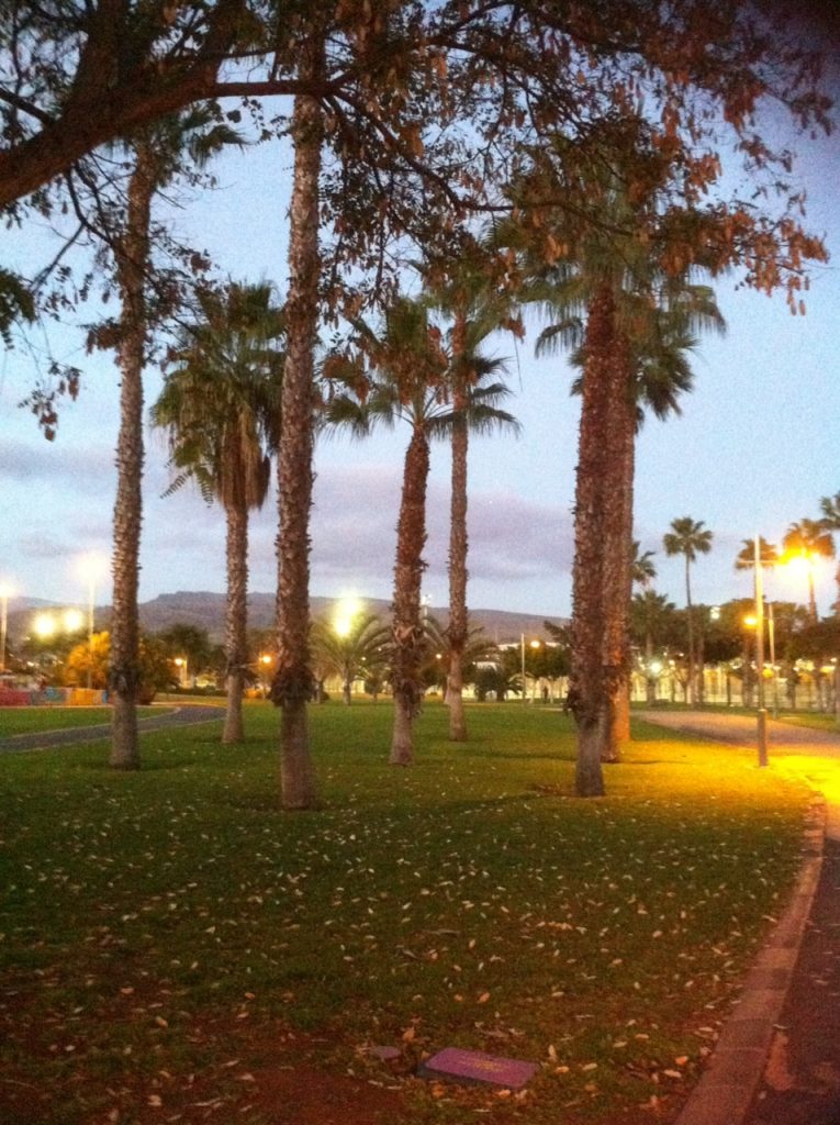 El cine familiar de verano regresa al Parque del Sur - Digital Faro ...