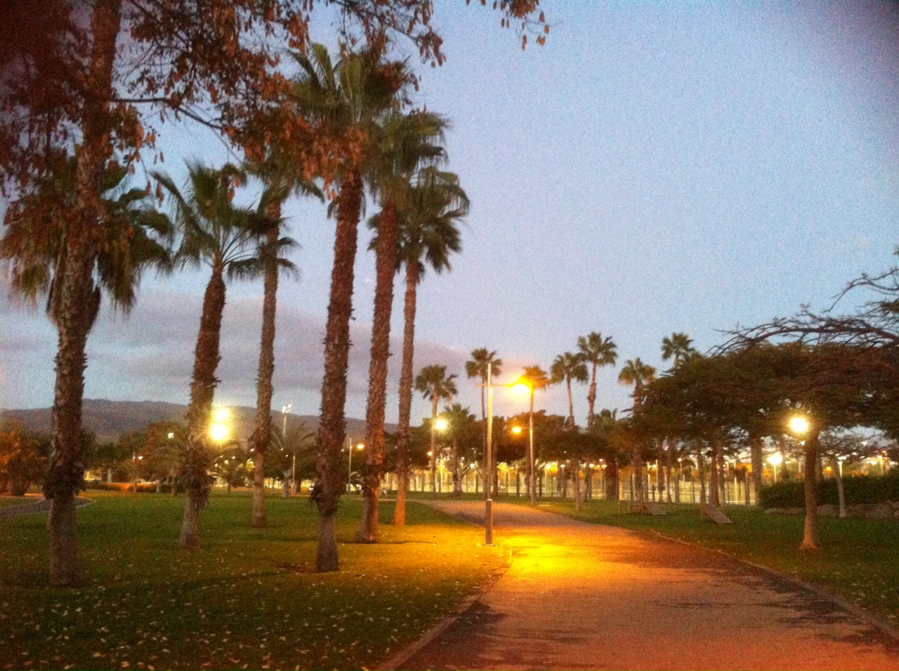 El cine familiar de verano regresa al Parque del Sur - Digital Faro ...