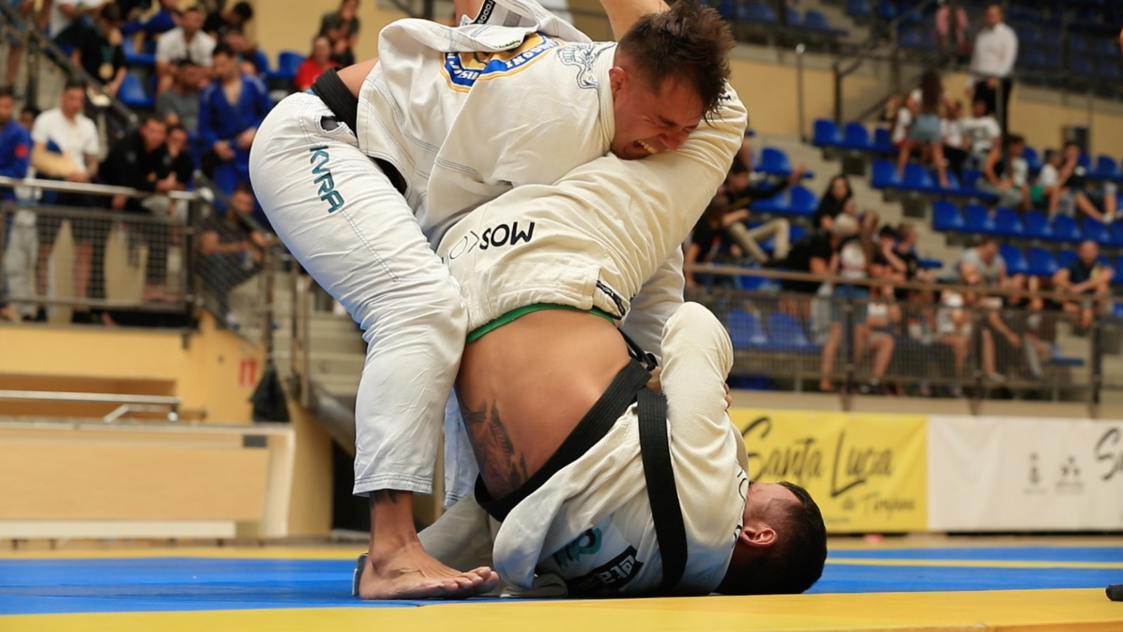 La II edición del Islas Canarias Open de Jiu-Jitsu brasileño reúne a ...