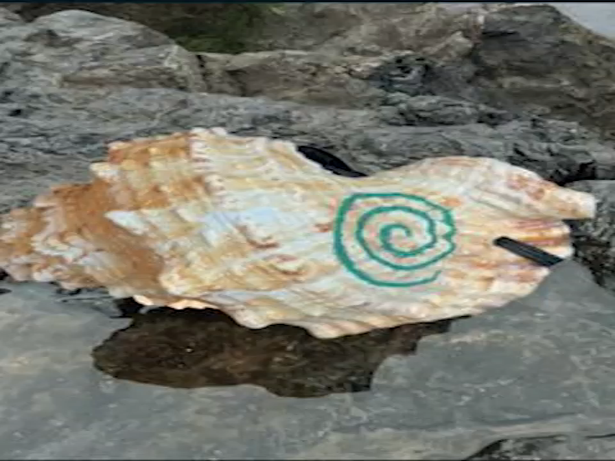 “El Taller de Bucio: Un Viaje Sonoro para Revivir la Cultura y las ...